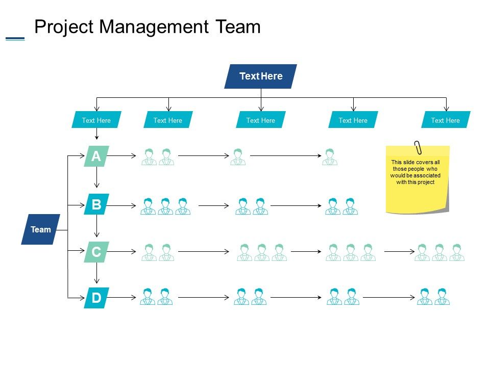 Project Management Team Ppt PowerPoint Presentation Infographic Template Deck