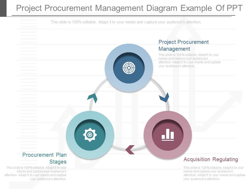 Project Procurement Management Diagram Example Of Ppt