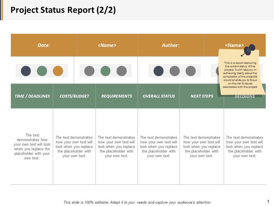 Project Status Report Requirements Ppt PowerPoint Presentation Slides ...