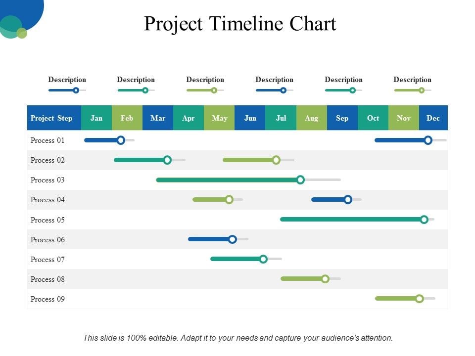 Project Timeline Chart Ppt PowerPoint Presentation Slides Graphics