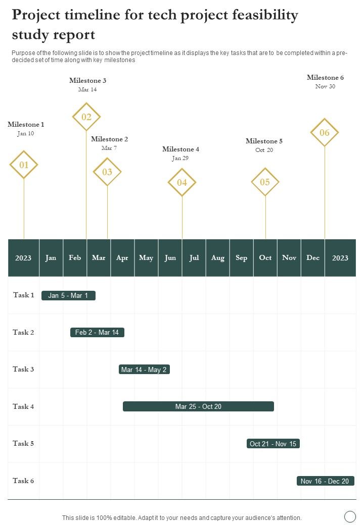 Project Timeline For Tech Project Feasibility Study Report One Pager Sample