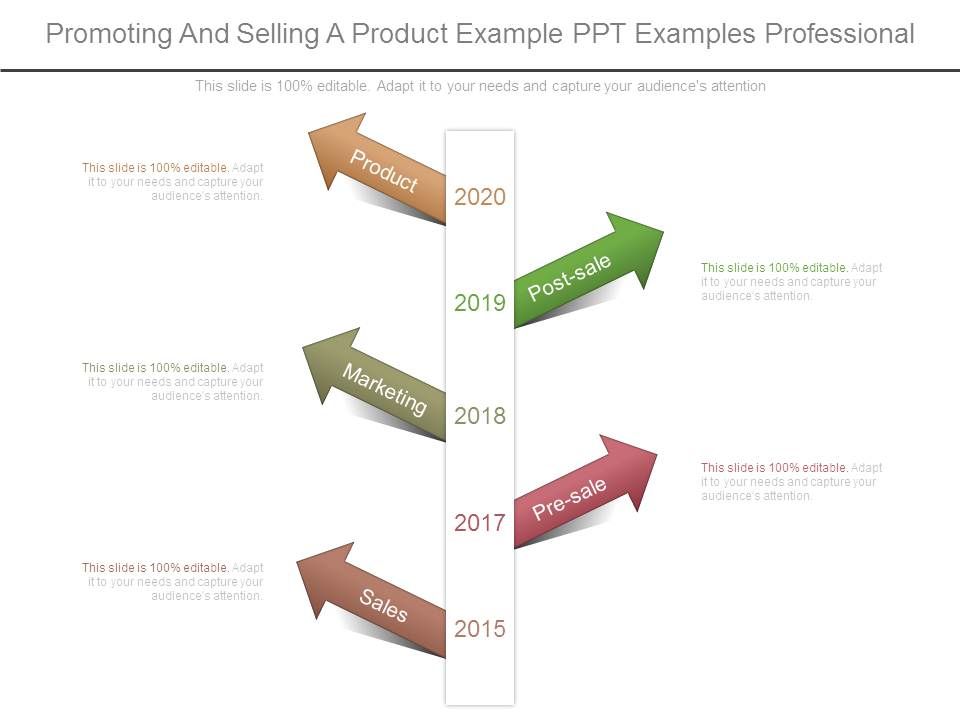 Promoting And Selling A Product Example Ppt Examples Professional