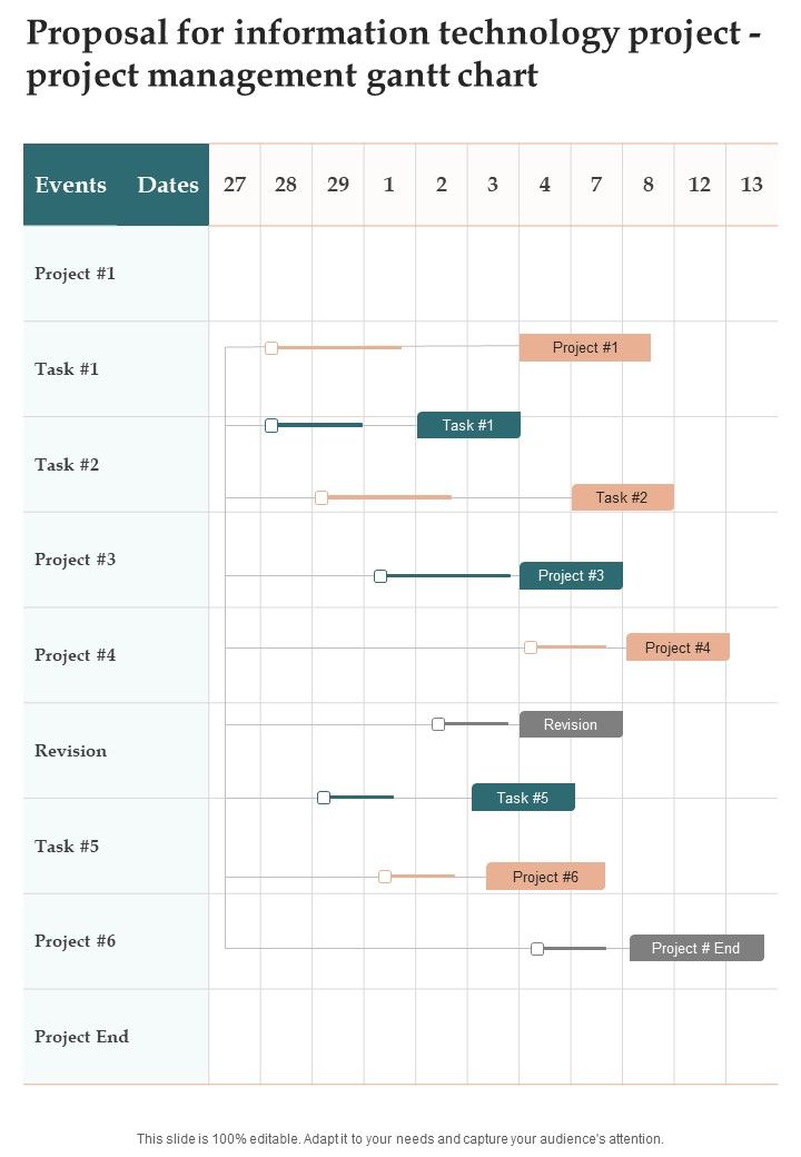 Proposal For Information Technology Project Project Management One Pager Sa