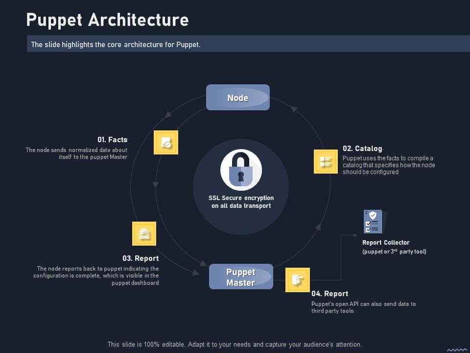 Puppet Tool For Server Configuration Administration Puppet Architecture Demonstration PDF