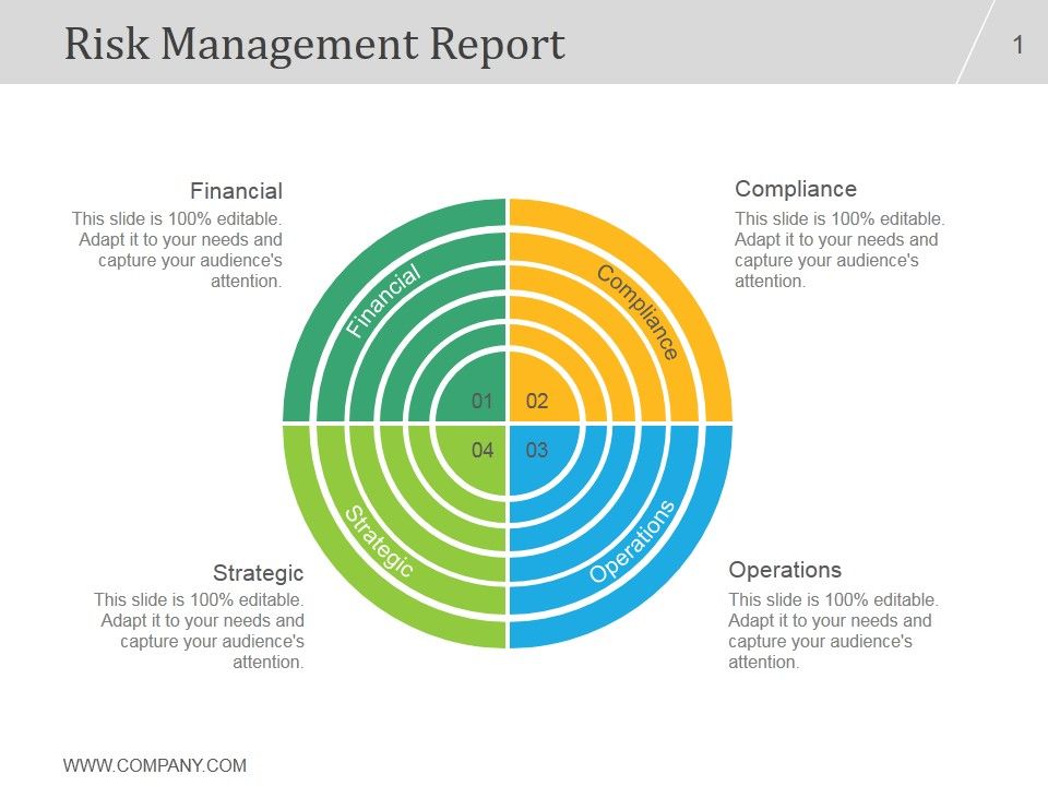 Risk Management Report Ppt PowerPoint Presentation Summary Risk Management Report Ppt PowerPoint Presentation Summary