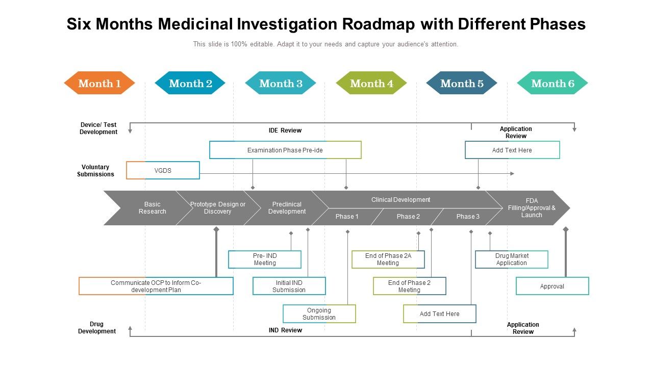 Six Months Medicinal Investigation Roadmap With Different Phases Graphics