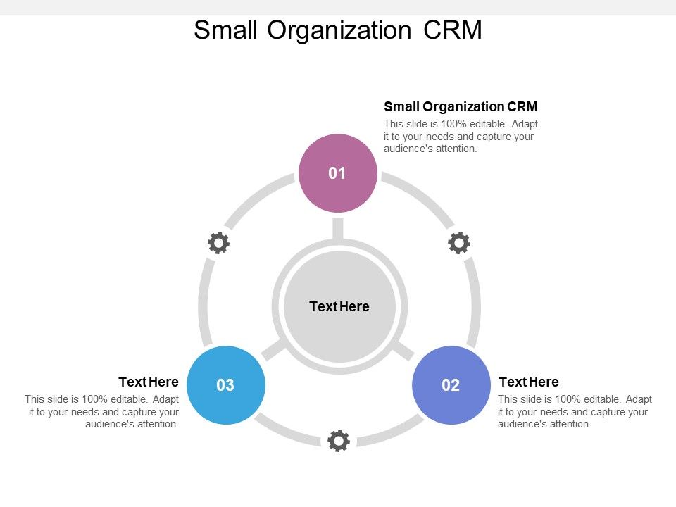 Small Organization CRM Ppt PowerPoint Presentation Summary Styles Cpb