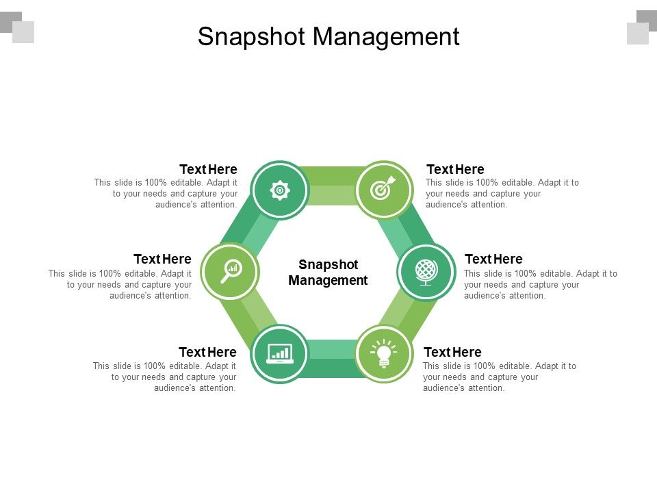Snapshot Management Ppt PowerPoint Presentation Gallery Designs ...
