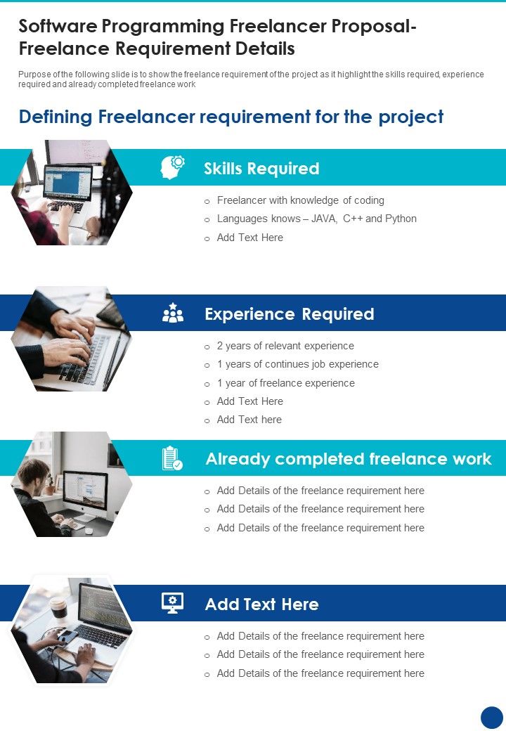 Software Programming Freelancer Freelance Requirement Details One Pager Sample Example Document