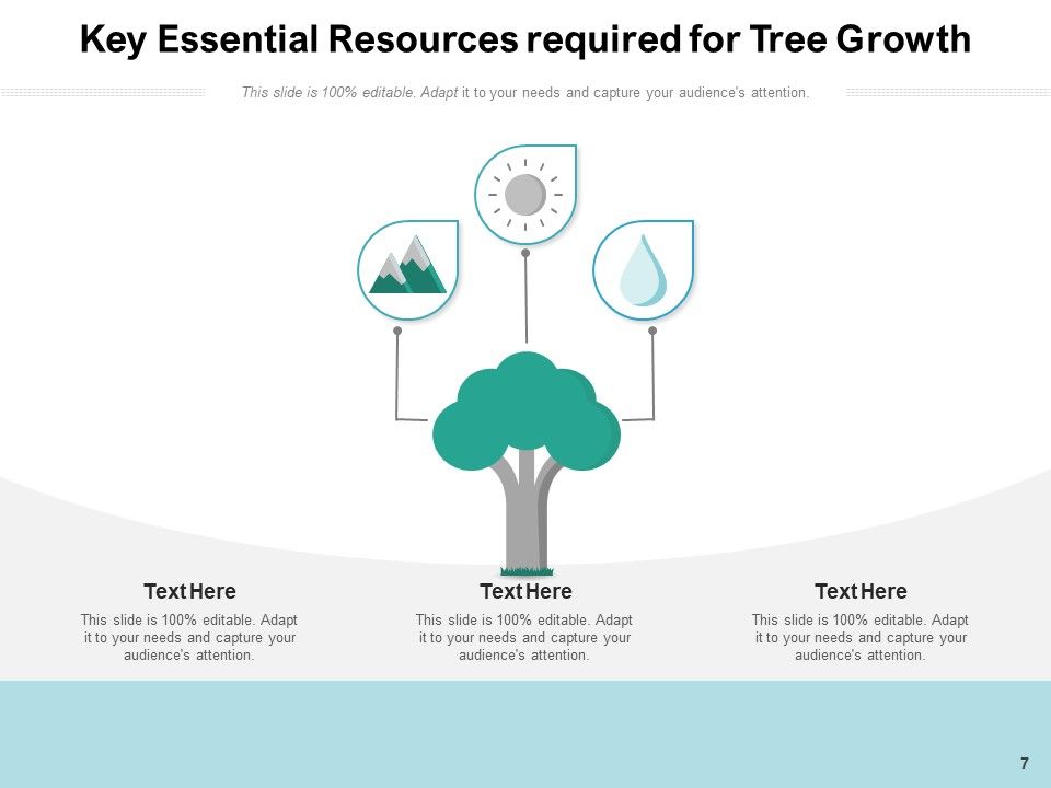 Stages Of Growing Tree Growth Resources Ppt PowerPoint Presentation ...
