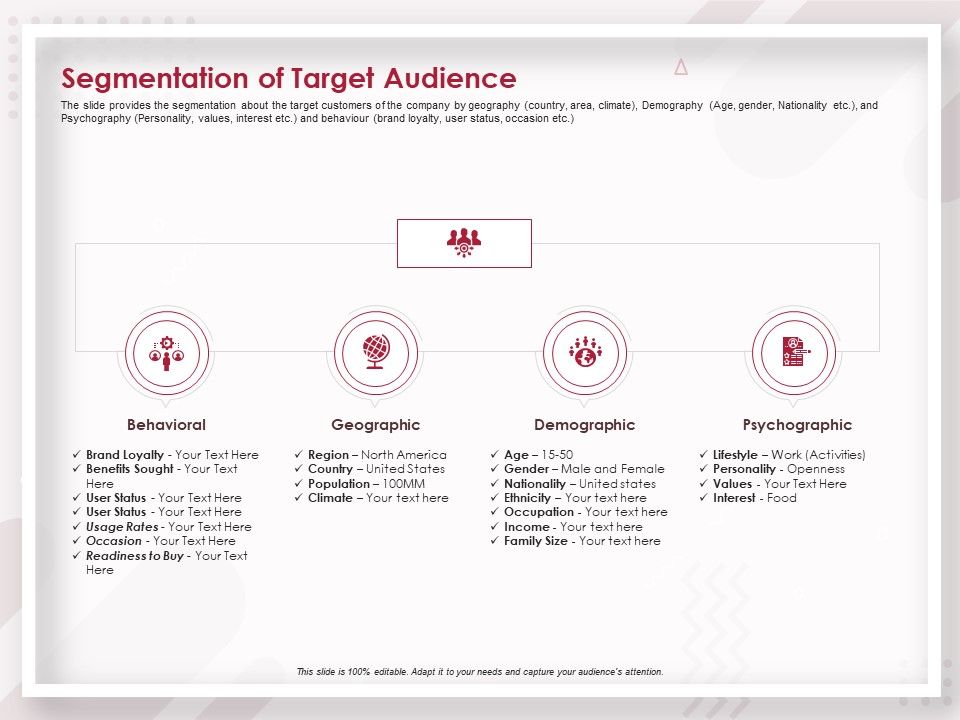 Startup Pitch To Raise Capital From Crowdfunding Segmentation Of Target Audience Portrait PDF