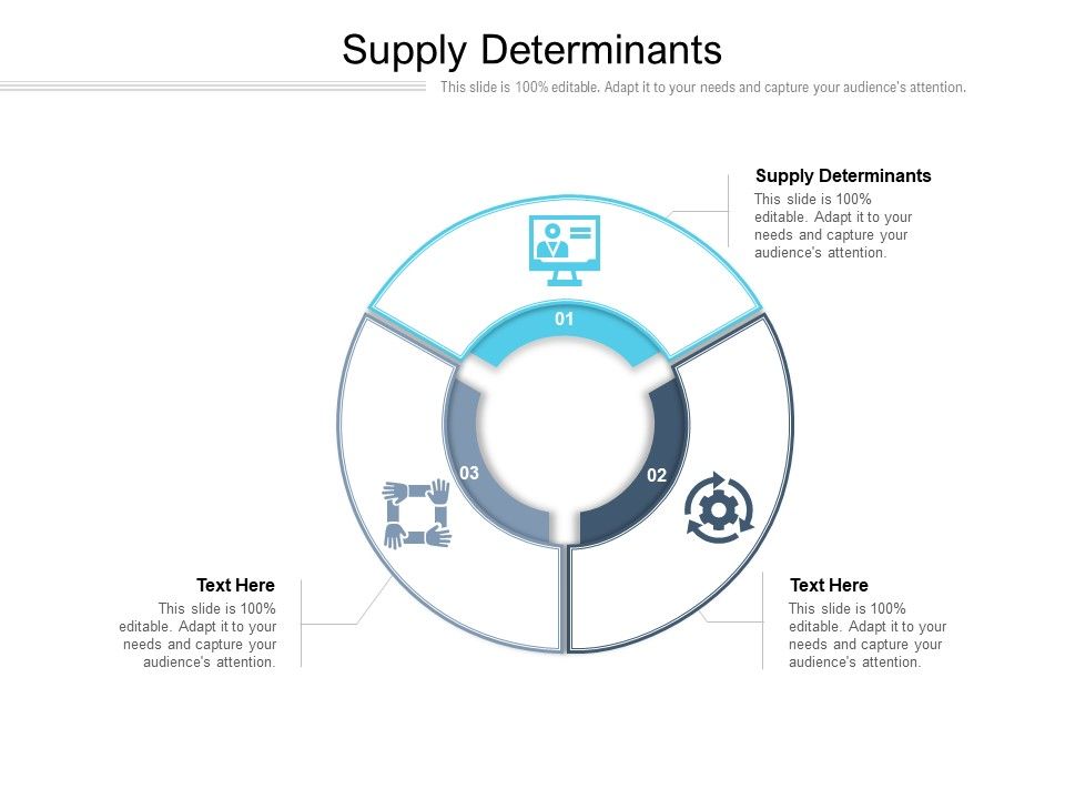 Supply Determinants Ppt PowerPoint Presentation Infographic Template Slides Cpb Pdf