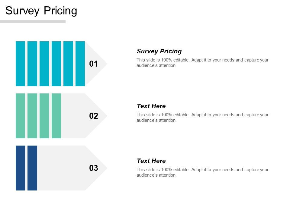 Survey Pricing Ppt PowerPoint Presentation Infographic Template Cpb