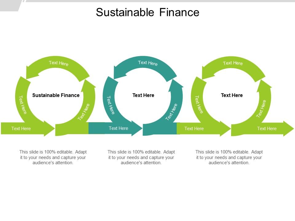Sustainable Finance Ppt PowerPoint Presentation Ideas Slide Portrait Cpb