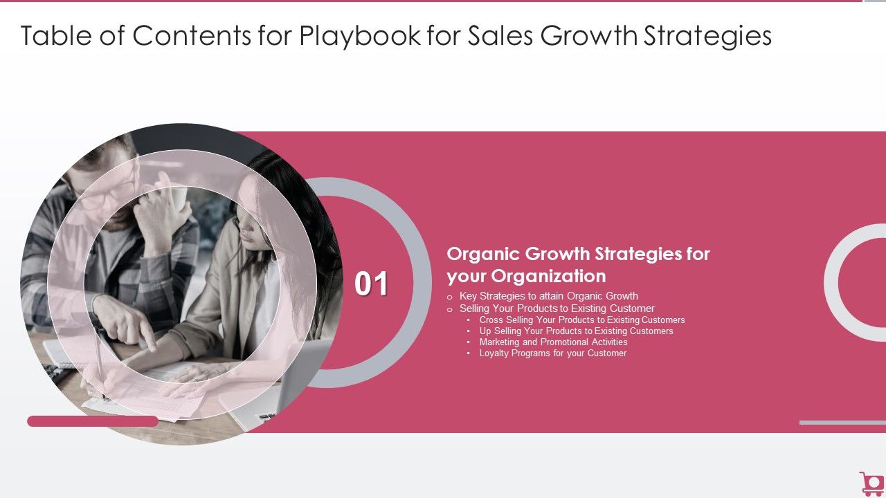 Table Of Contents For Playbook For Sales Growth Strategies Designs PDF