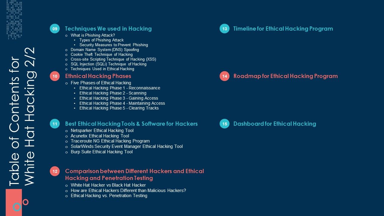 Table Of Contents For White Hat Hacking Program Ppt Gallery Images PDF