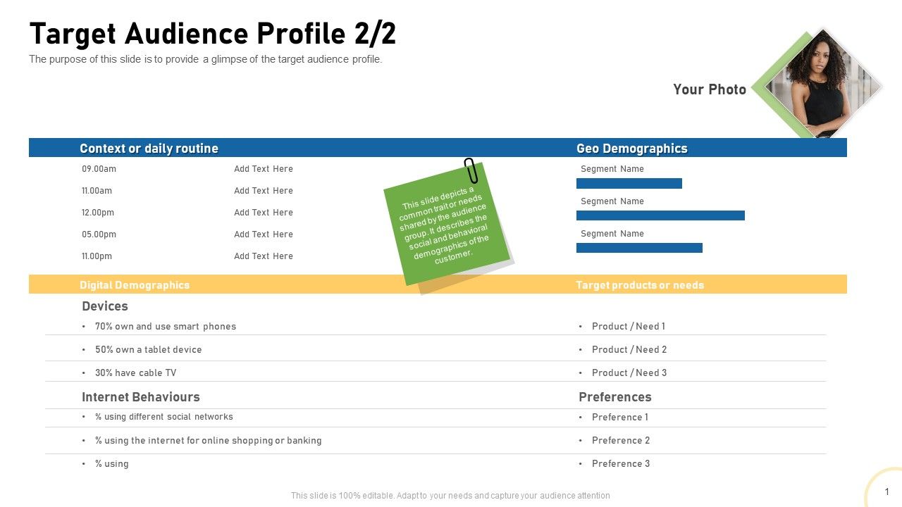 Tactical Plan For Brand Remodeling Target Audience Profile Device Ppt Profe