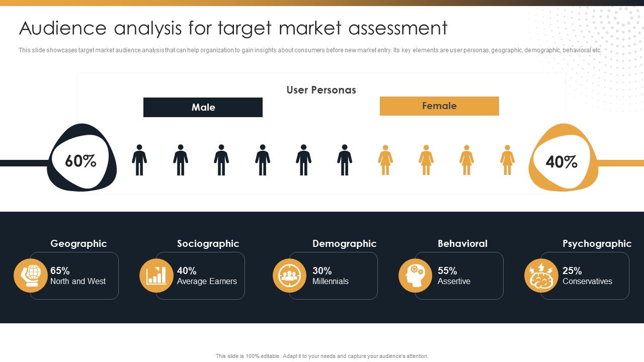 Target Customer Analysis Audience Analysis For Target Market Assessment