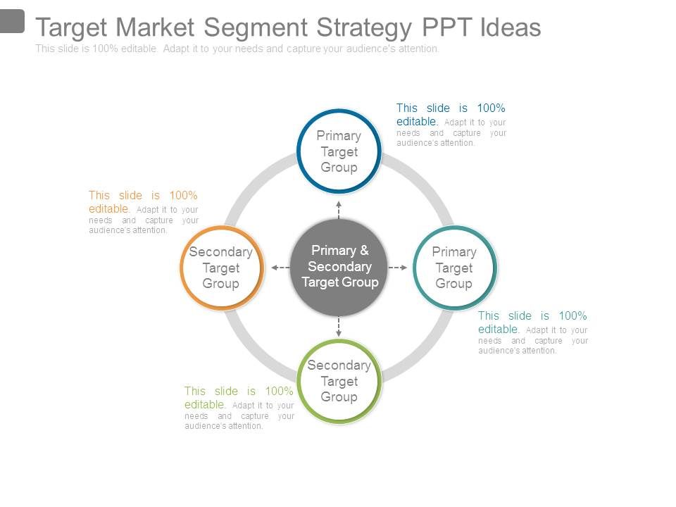 Target Market Segment Strategy Ppt Ideas