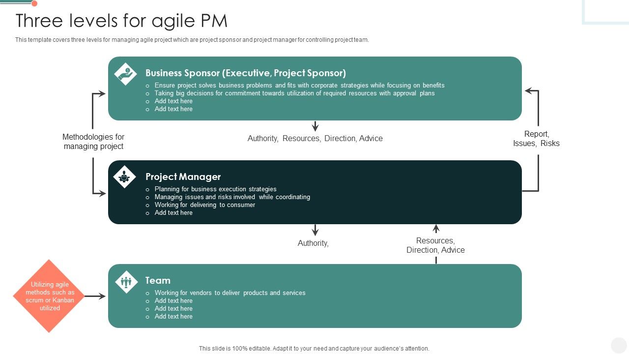 Three Levels For Agile PM Guidelines PDF