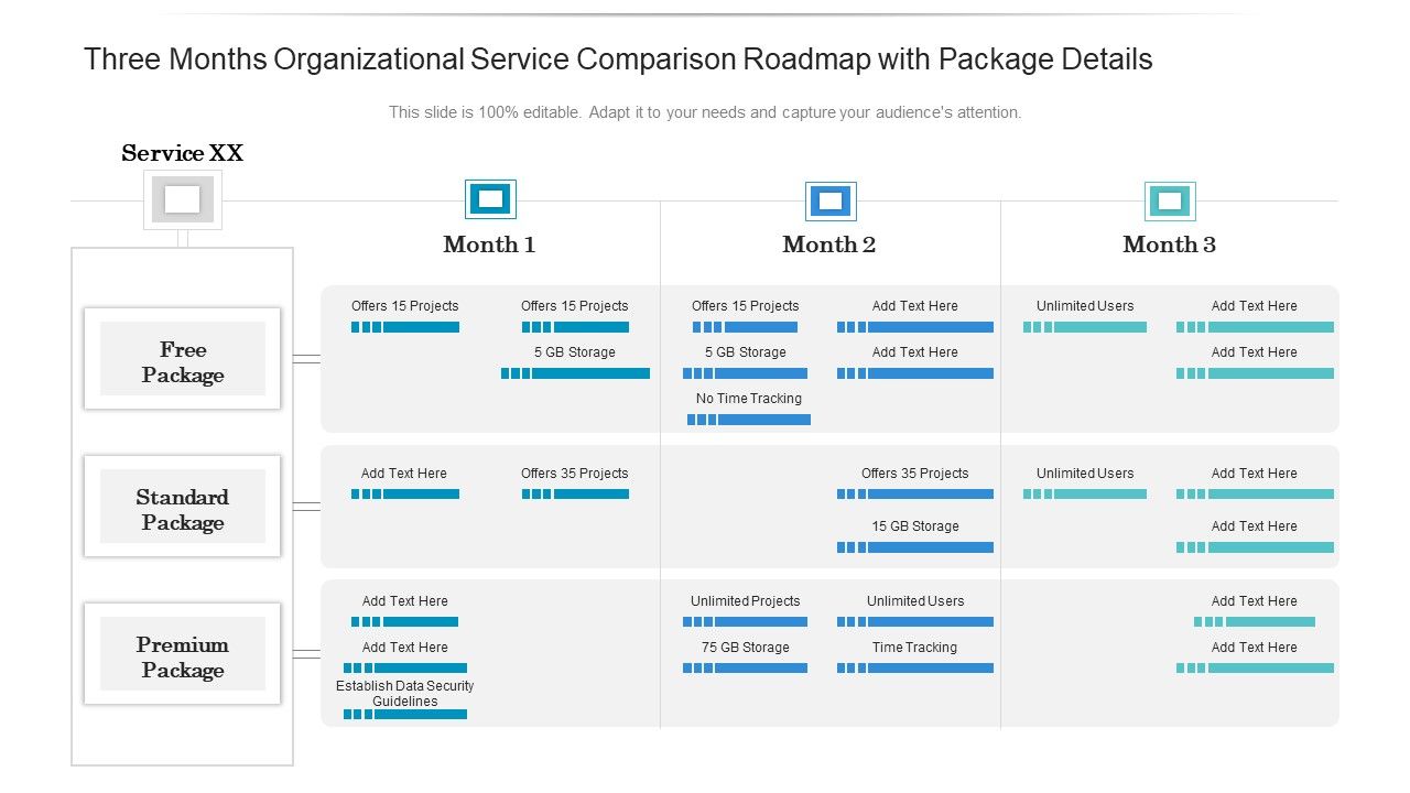 Three Months Organizational Service Comparison Roadmap With Package Details Guidelines