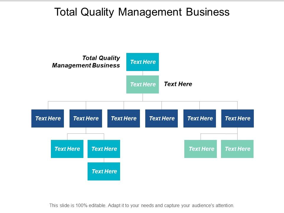 Total Quality Management Business Ppt Powerpoint Presentation
