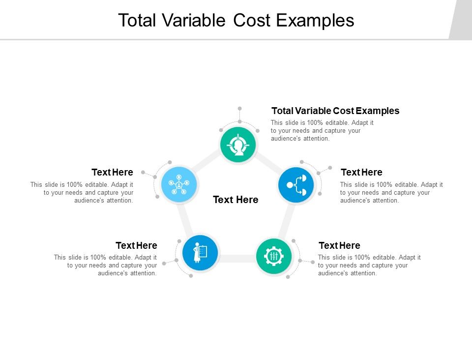 Total Variable Cost Examples Ppt PowerPoint Presentation Show Templates Cpb Total Variable Cost Examples Ppt PowerPoint Presentation Show Templates Cpb