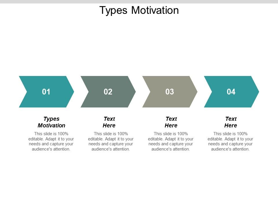 Types Motivation Ppt PowerPoint Presentation Professional Vector Cpb