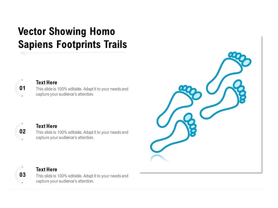 Vector Showing Homo Sapiens Footprints Trails Ppt PowerPoint ...