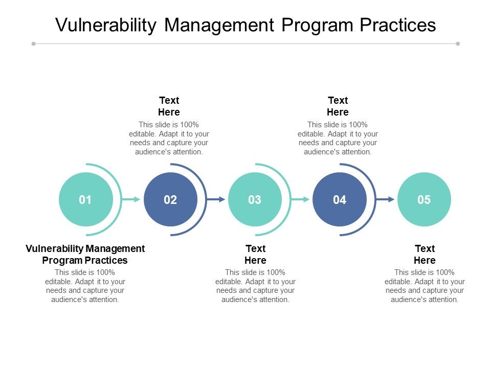 Vulnerability Management Program Practices Ppt PowerPoint Presentation ...