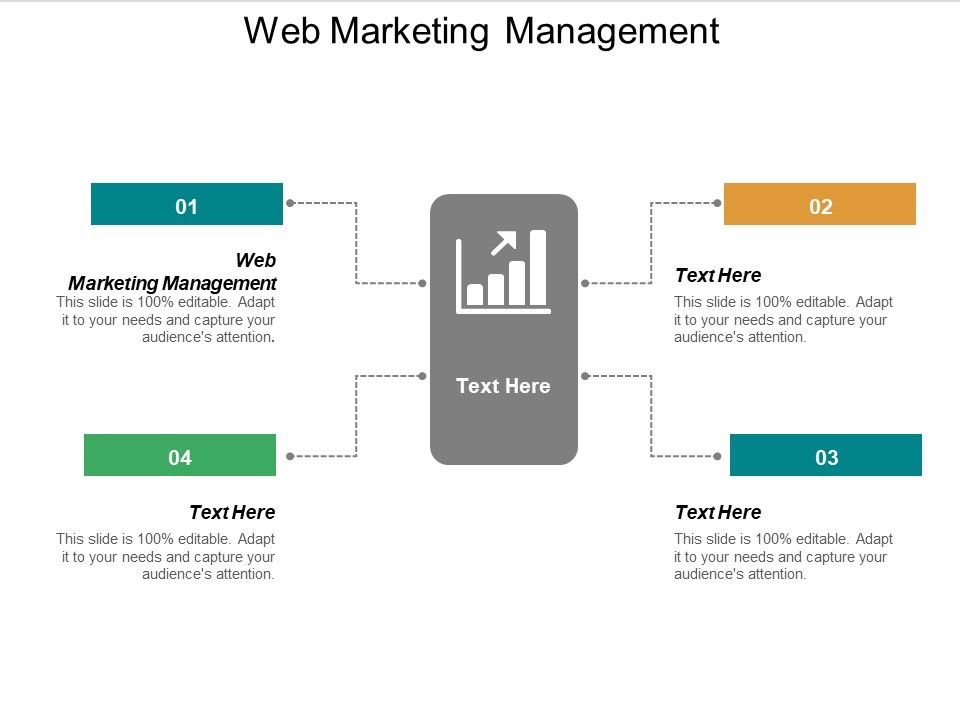 Web Marketing Management Ppt Powerpoint Presentation Layouts Styles Cpb