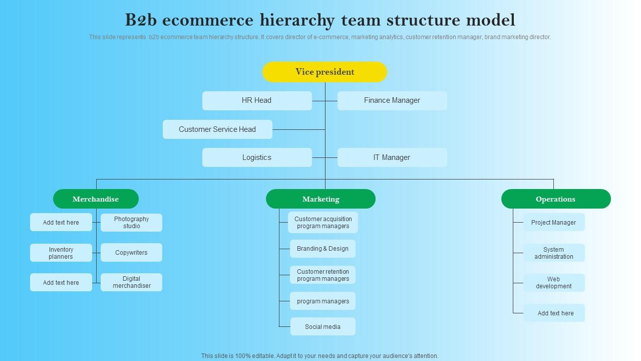 B2B Ecommerce Hierarchy Team Structure Model B2B Digital Commerce Structure Pdf