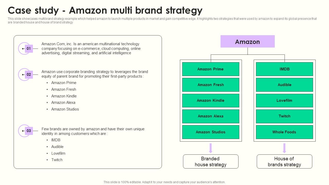 Case Study Amazon Multi Brand Maximizing Sales Via Online Brand Marketing Strategies Clipart Pdf