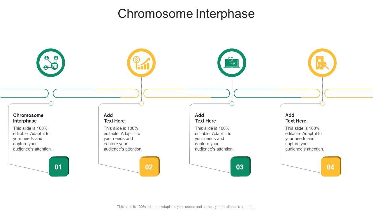 Chromosome Interphase In Powerpoint And Google Slides Cpb