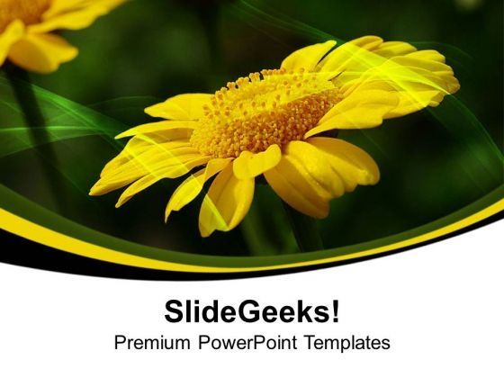 Chrysanthemum Perennial Flowering Plants PowerPoint Templates Ppt ...