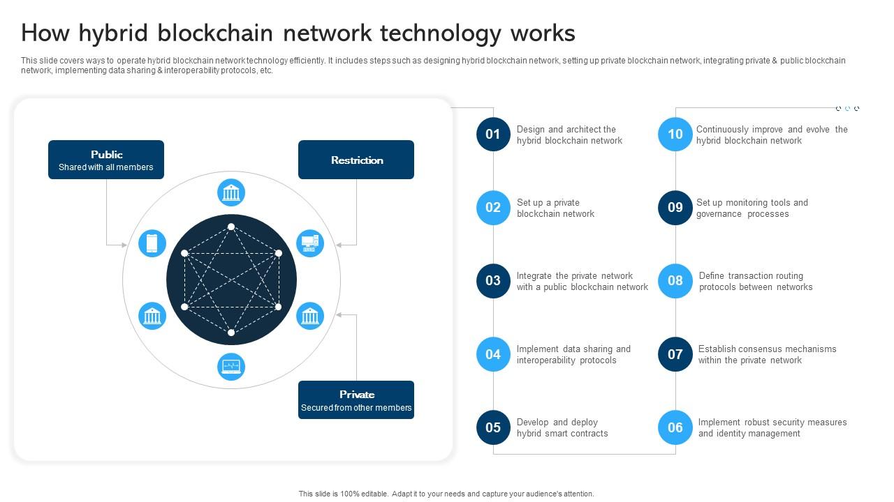 Comprehensive Manual For Blockchain Networks How Hybrid Blockchain BCT SS V