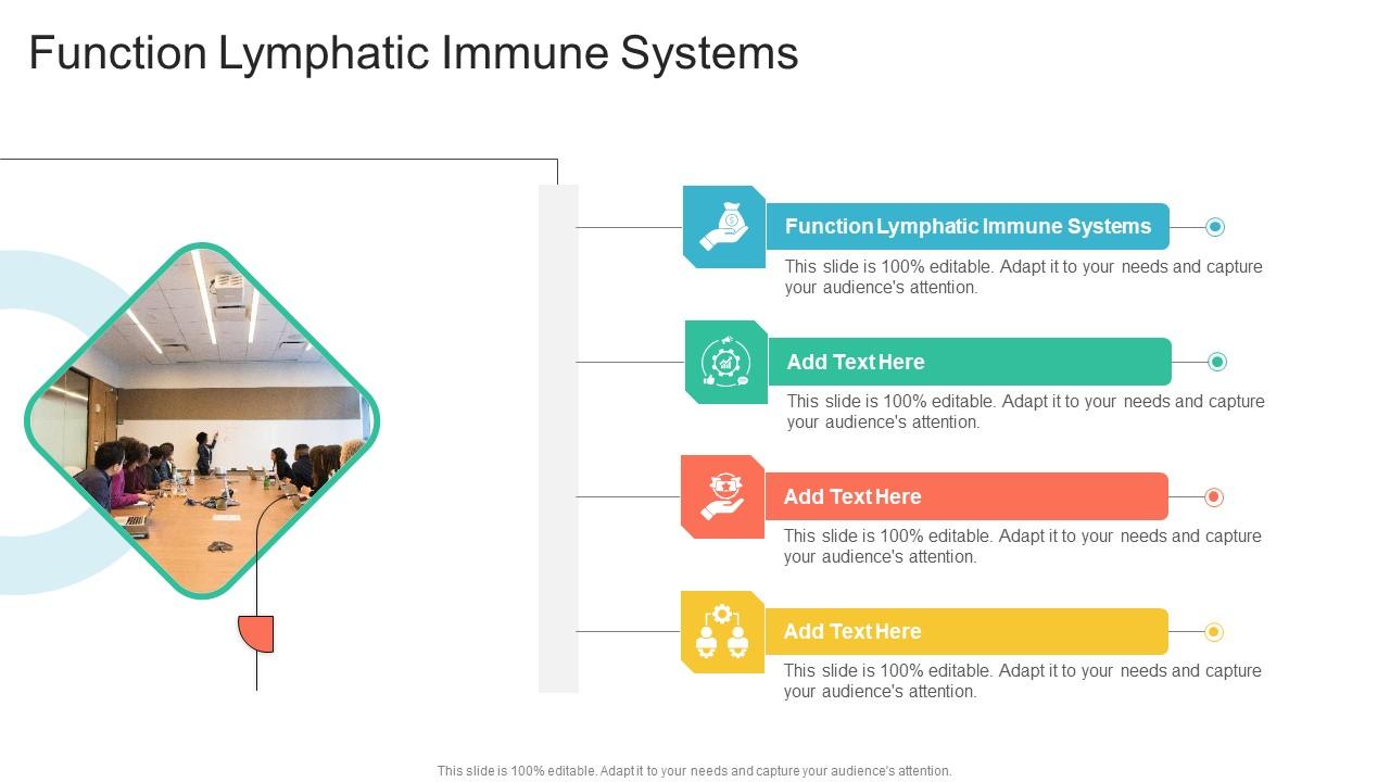 Function Lymphatic Immune Systems In Powerpoint And Google Slides Cpb