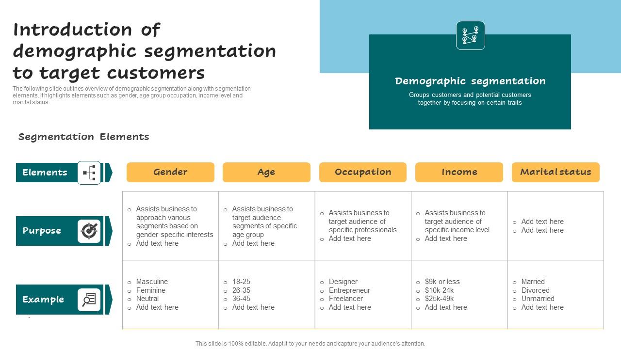Introduction Of Demographic Segmentation Successful Guide For Market