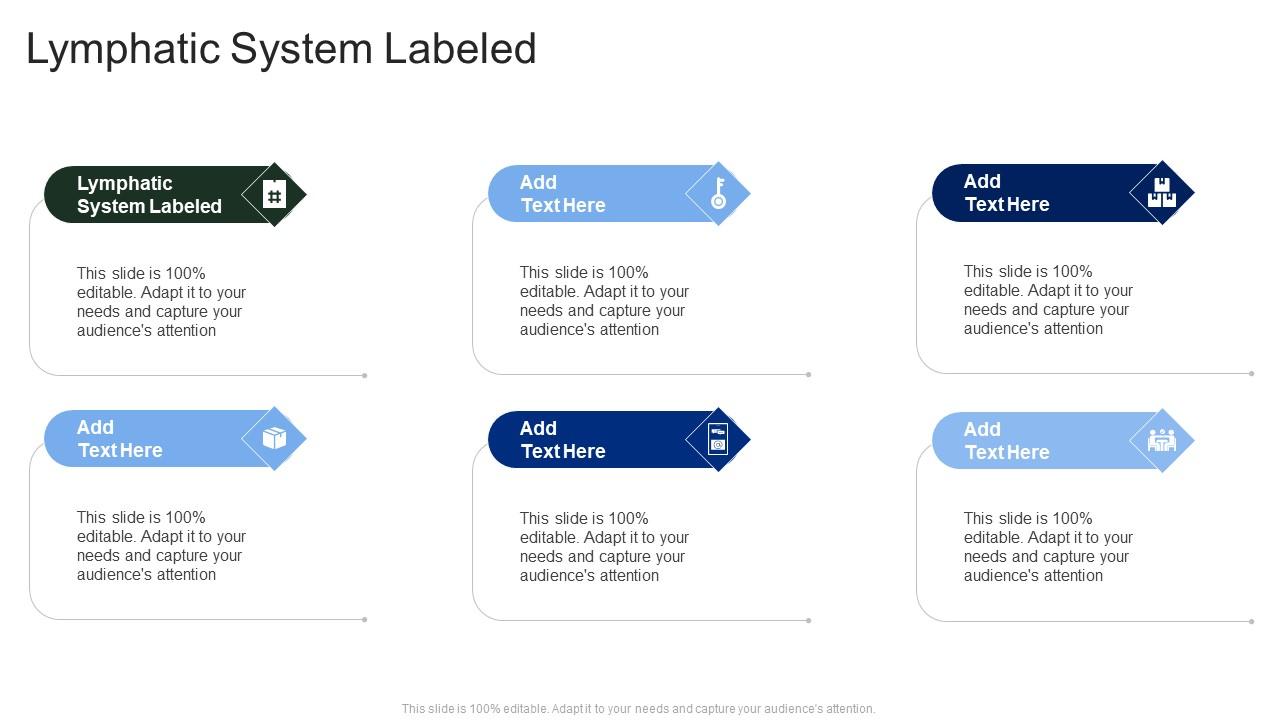 Lymphatic System Powerpoint And Google Slides Template Ppt S