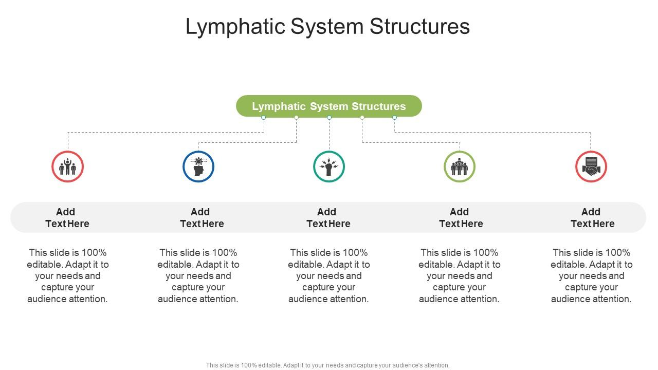 Lymphatic System Structures In Powerpoint And Google Slides Cpb