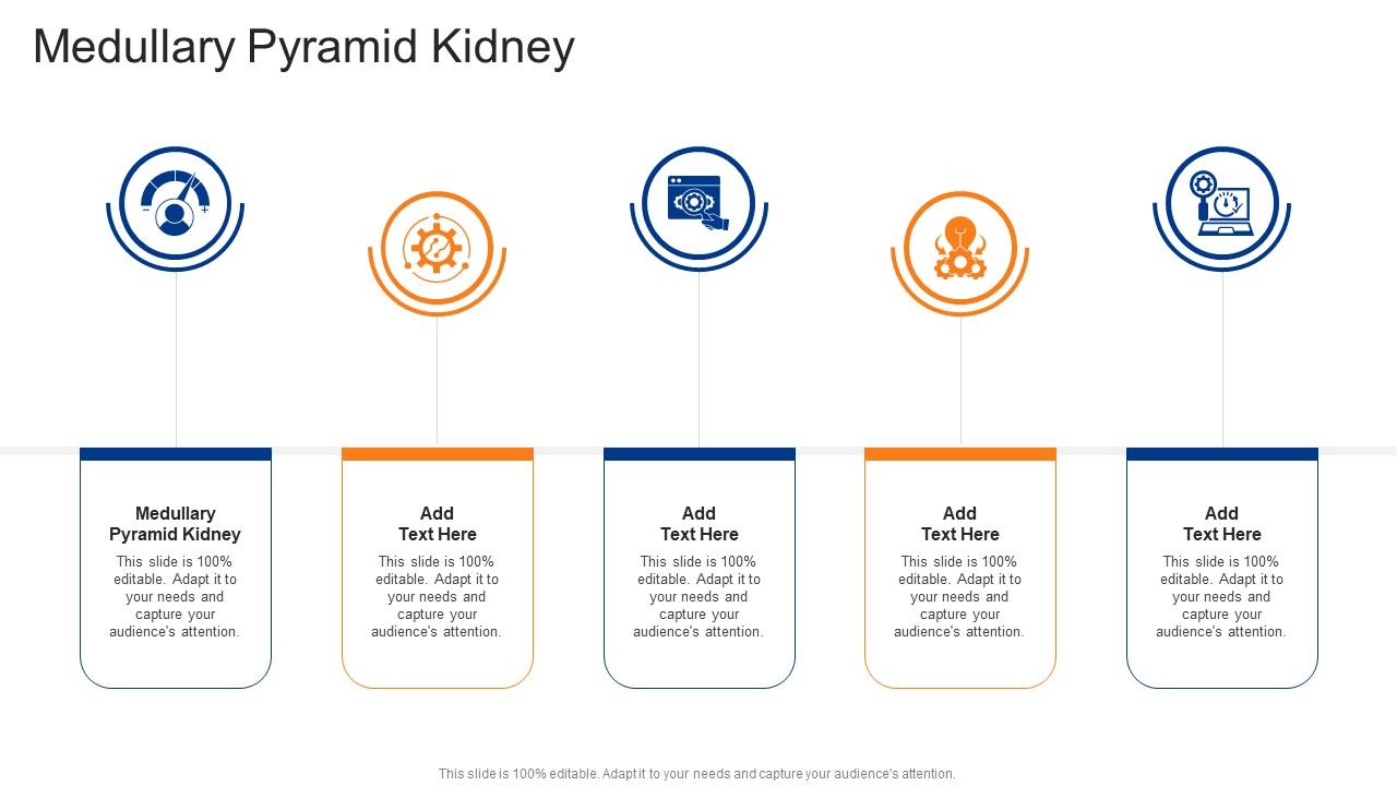 Medullary Pyramid Kidney In Powerpoint And Google Slides Cpb