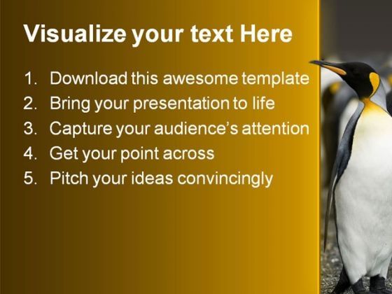 Penguin Animal PowerPoint Template 0810 Penguin Animal PowerPoint Template 0810