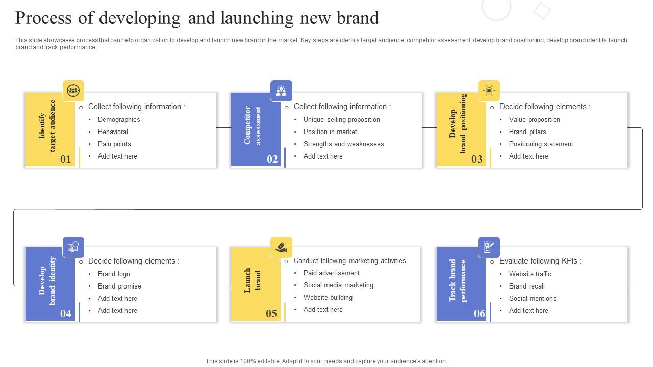 Process Of Developing And Launching New Brand Maximizing Revenue Using Graphics Pdf