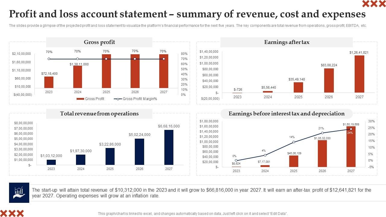 Profit And Loss Account Statement Summary Of In Home Care Business Plan ...