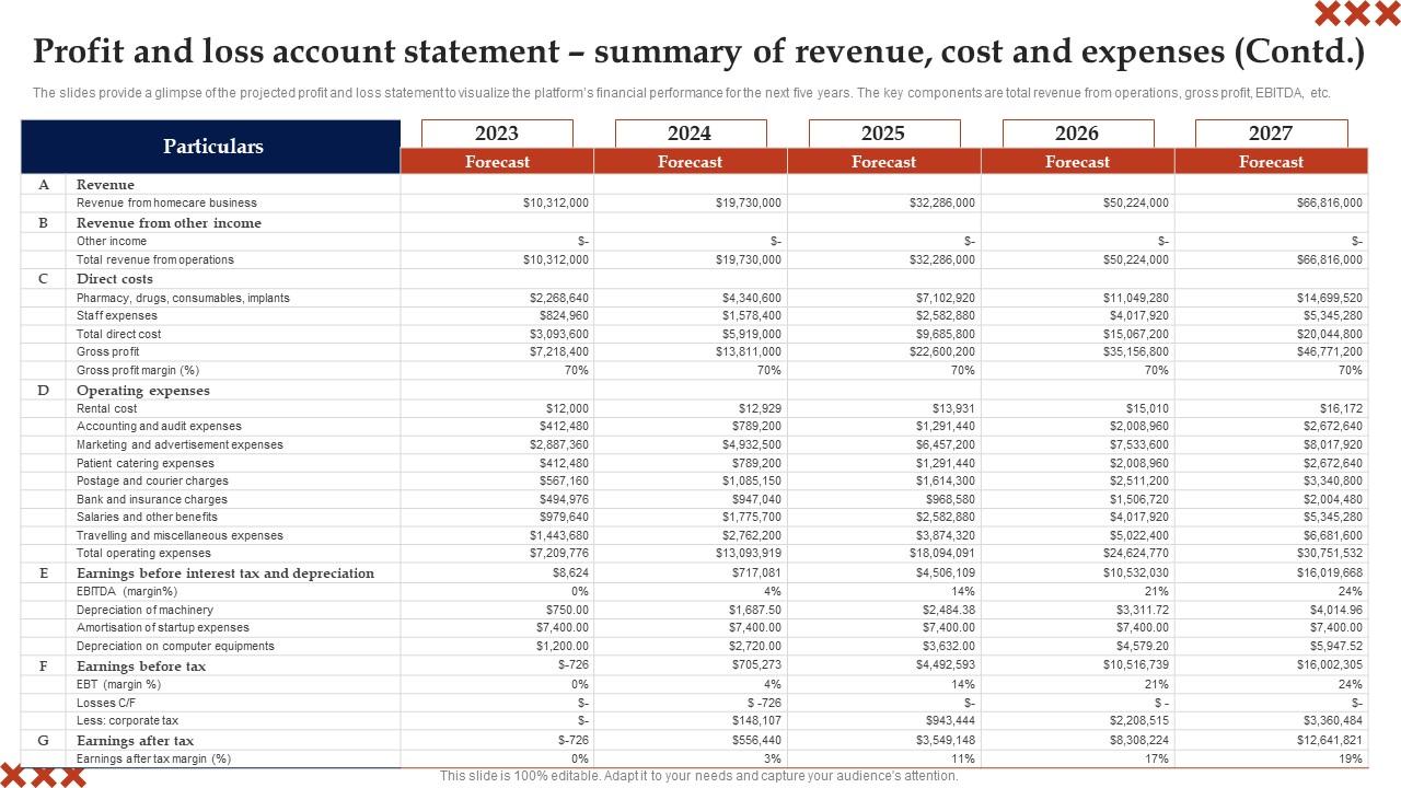 Profit And Loss Account Statement Summary Of In Home Care Business Plan ...