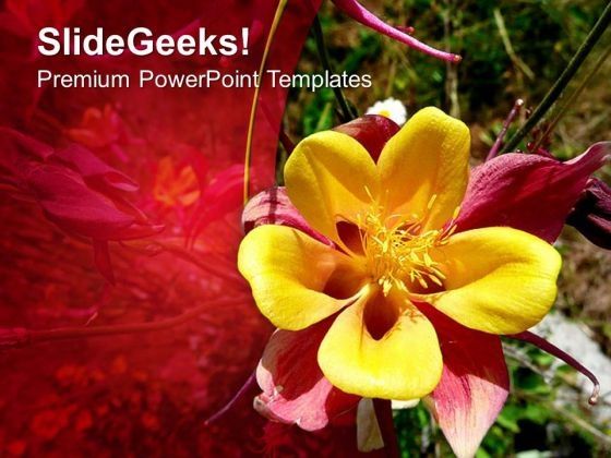 Red And Yellow Floral Abstract PowerPoint Templates Ppt Backgrounds For ...