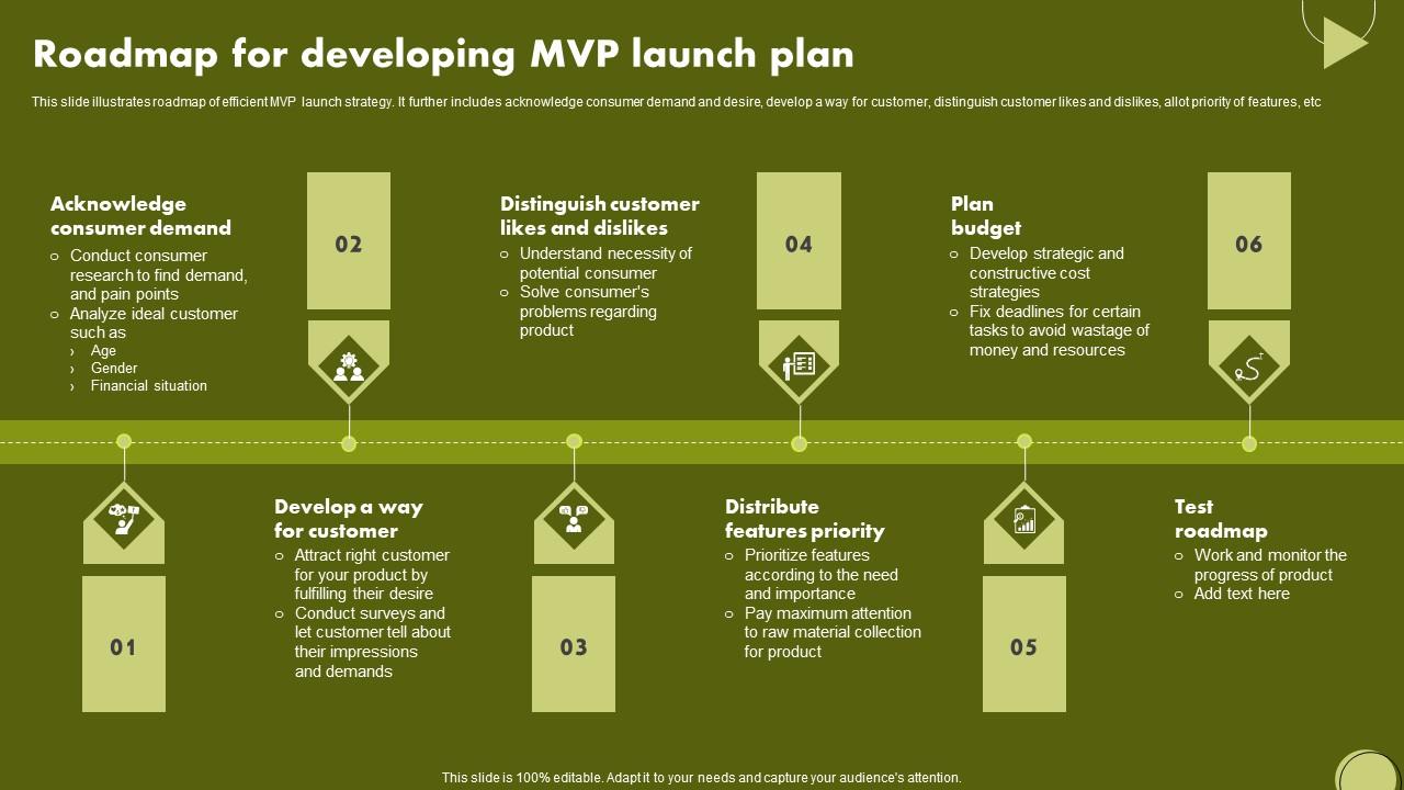 Roadmap For Developing MVP Launch Plan Introduction Pdf Roadmap For Developing MVP Launch Plan Introduction Pdf