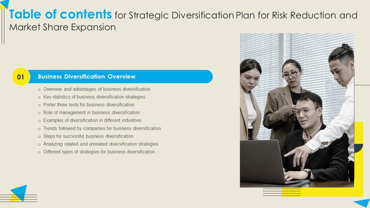 Strategic Diversification Plan For Risk Reduction And Market Table Of Conte