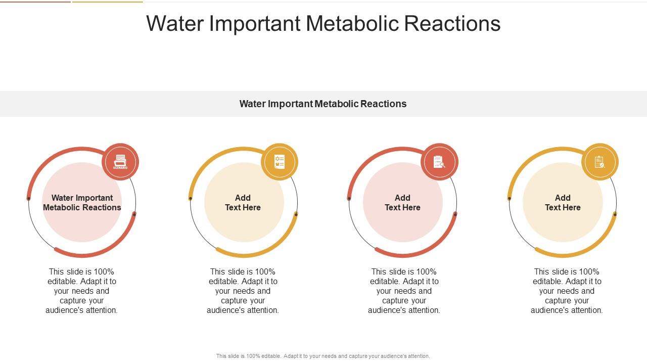 Water Important Metabolic Reactions In Powerpoint And Google Slides Cpb