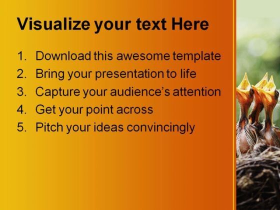 Wild Birds Animal PowerPoint Template 0810